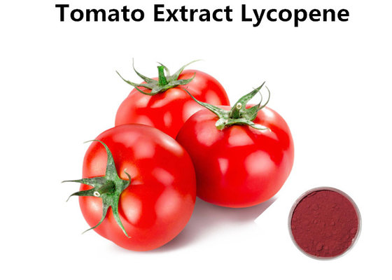 Tomato Extract 1% Lycopen Natural Food Pigments Cas No. 502 - 65 - 8 For Enhance Immunity Anti-cancer and Anti-Aging