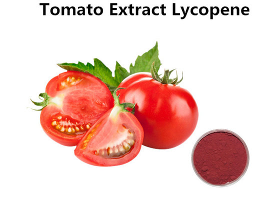 10% Lycopene Tomato Extract Power , Natural Antioxidant Organic Tomato Extract