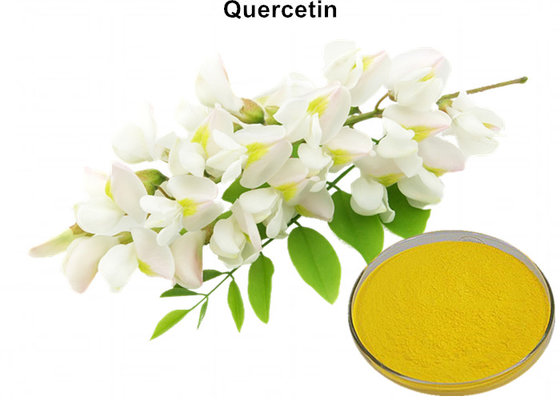 Antitumor Pure Quercetin Powder , High Purity 98% Quercetin Dihydrate Powder 117 39 5
