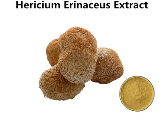 Anti - Oxidant Lion'S Mane Mushroom Extract , Pharmaceutical Organic Mushroom Powder