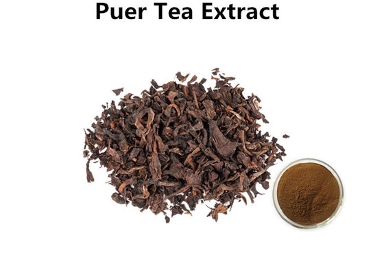100% Organic Puer Tea Extract Powder Anti - Bacteria For Cosmetics / Food