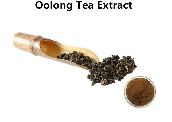 Oolong Tea Extract Losing Weight Ant I- Aging, 30% Polyphenols Natural Herbal Extracts