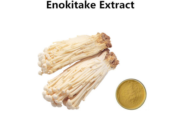 High Purity Mushroom Polysaccharides Enoki Mushroom Extract Powder Anti - Fatigue