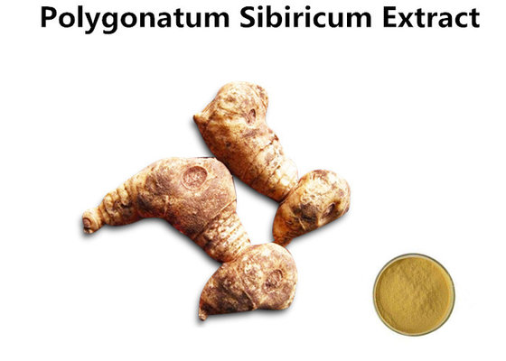 Sun Grass Plant Polysaccharides Polygonatum Extract UV Curing Tuberculosis