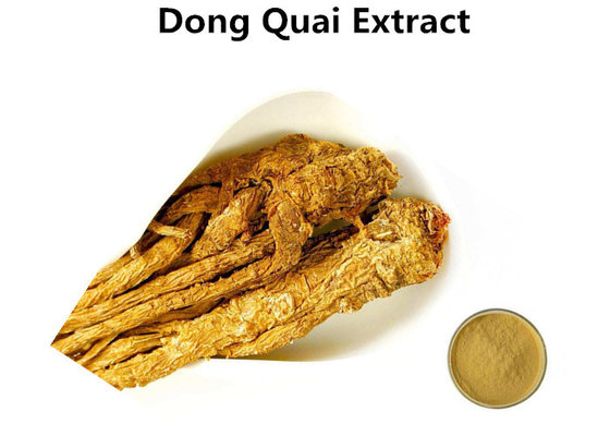 Angelica Root Extract Plant Polysaccharides Polysaccharides Promoting Blood Circulation