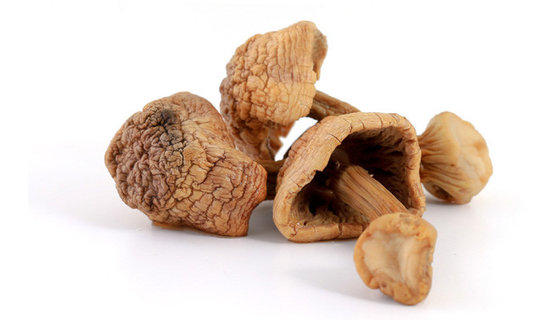 Agaricus Blazei Extract Promoting Hematopoiesis , Ji / Pine Medicinal Mushroom Powder