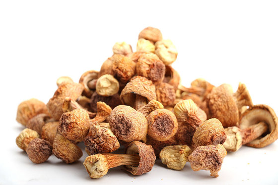 Agaricus Blazei Extract Promoting Hematopoiesis , Ji / Pine Medicinal Mushroom Powder