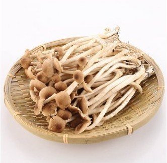 Organic Agrocybe Mushroom Extract Powder Anti - Aging, Medicinal Mushroom Extract Powder Cancer Treatment