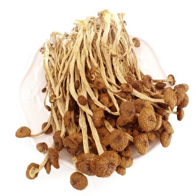 Organic Agrocybe Mushroom Extract Powder Anti - Aging, Medicinal Mushroom Extract Powder Cancer Treatment