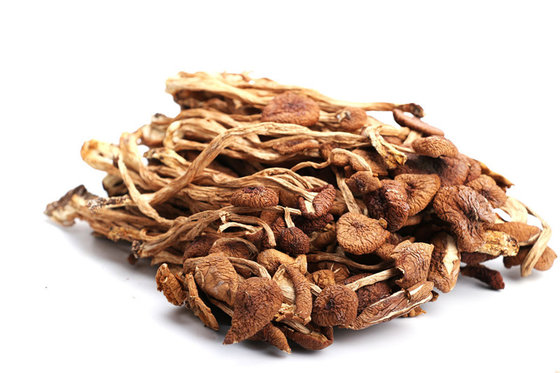 Organic Agrocybe Mushroom Extract Powder Anti - Aging, Medicinal Mushroom Extract Powder Cancer Treatment