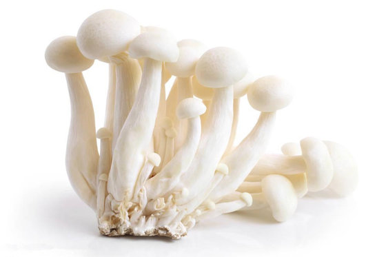High Purity Mushroom Polysaccharides Enoki Mushroom Extract Powder Anti - Fatigue