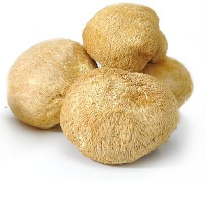 Anti - Oxidant Lion'S Mane Mushroom Extract , Pharmaceutical Organic Mushroom Powder