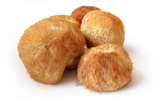 Anti - Oxidant Lion'S Mane Mushroom Extract , Pharmaceutical Organic Mushroom Powder
