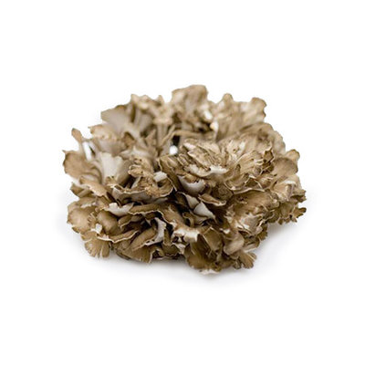 Improving Immunity Maitake Mushroom Extract , 30% Polysaccharides Maitake Mushroom Powder
