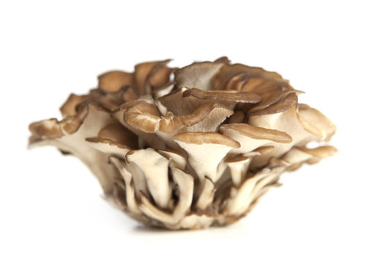 Improving Immunity Maitake Mushroom Extract , 30% Polysaccharides Maitake Mushroom Powder