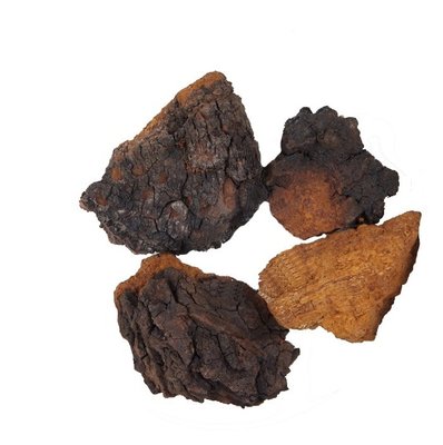 Chaga Mushroom Polysaccharides Extract  30% Polysaccharides Anti - Tumor Regulating Hormones