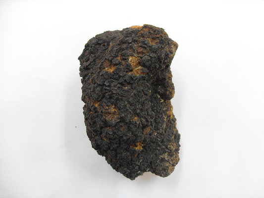 Chaga Mushroom Polysaccharides Extract  30% Polysaccharides Anti - Tumor Regulating Hormones