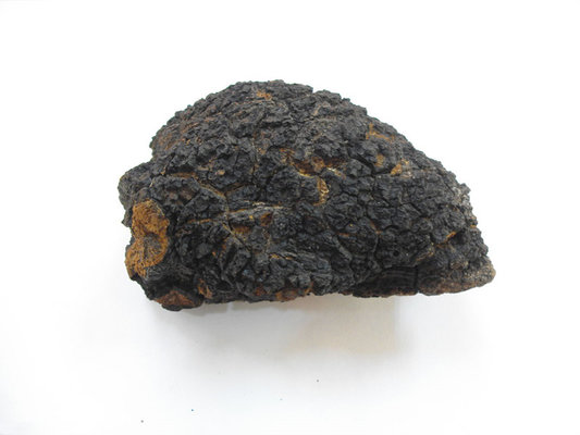 Chaga Mushroom Polysaccharides Extract  30% Polysaccharides Anti - Tumor Regulating Hormones