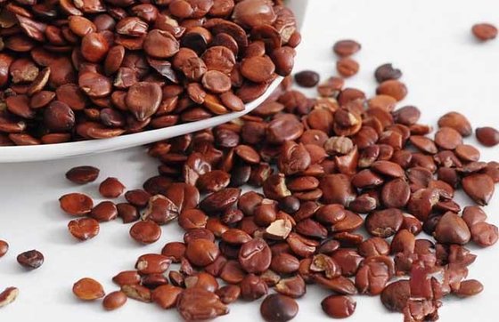 Ziziphi Seed / Spina Date Natural Plant Extracts 2% Jujuboside Sedation Dark Brown Powder