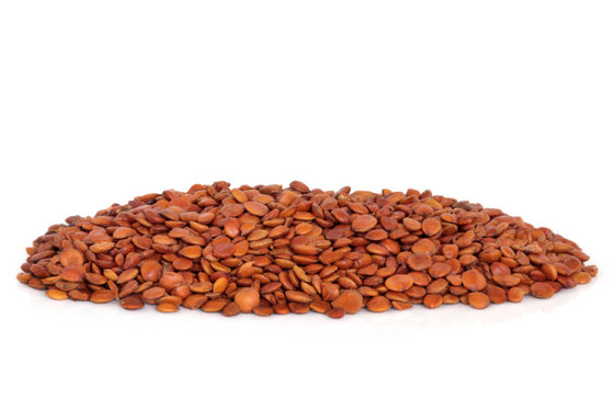 Ziziphi Seed / Spina Date Natural Plant Extracts 2% Jujuboside Sedation Dark Brown Powder