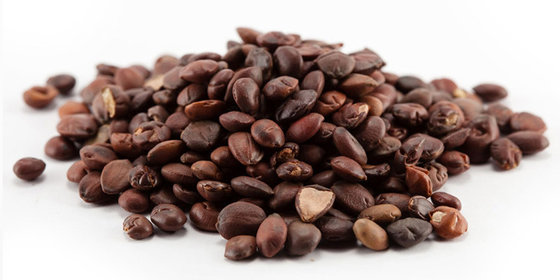 Ziziphi Seed / Spina Date Natural Plant Extracts 2% Jujuboside Sedation Dark Brown Powder