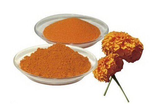 Orange Red Powder Natural Food Pigments Lutein Marigold Extract Slowing Atherosclerosis