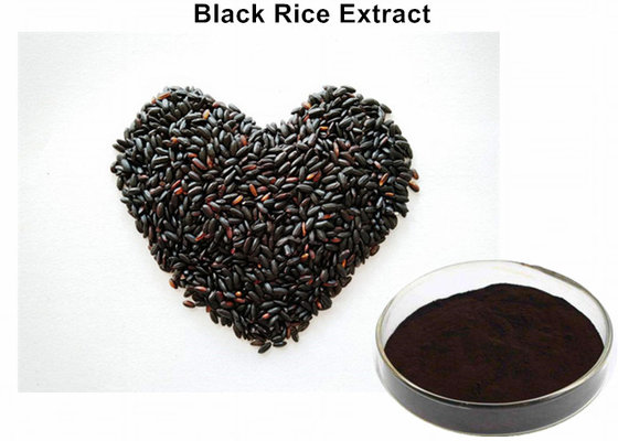 Healthy Anti - Aging Black Rice Extract, Black Currant Extract Tonifying Kidney