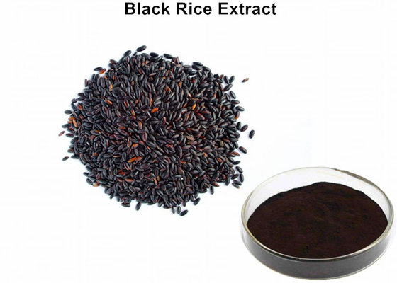 Healthy Anti - Aging Black Rice Extract, Black Currant Extract Tonifying Kidney