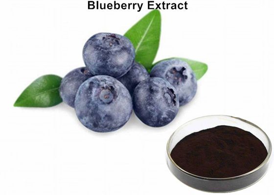 Anti - Oxidant Anthocyanin Extract Powder Deep Purple Protecting Eyesight