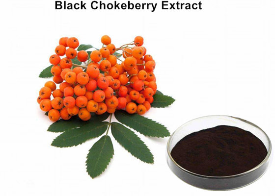 Black Chokeberry Extract Powder, Aronia Berry Extract Lowering Blood Sugar
