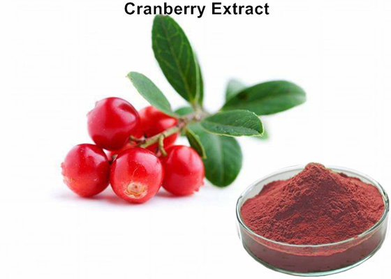 Cranberry Standardized Extract For Uti , Cranberry Juice Extract Preventing Urinary Tract Infections
