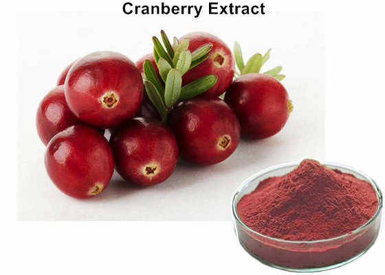 Cranberry Standardized Extract For Uti , Cranberry Juice Extract Preventing Urinary Tract Infections