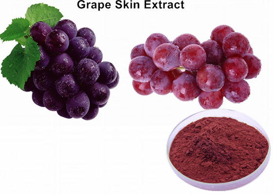 30% Polyphenols Natural Food Pigments Grape Skin Extract For Food Color Antioxidant