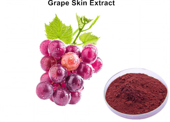Grape Skin Extract Anthocyanin Extract Powder Skin Health Promoting Blood Circulation