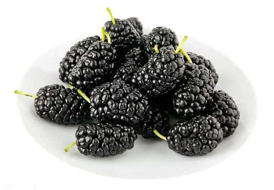 Mulberry Fruit Extract Anthocyanin Extract Powder Improving Reproductive Health