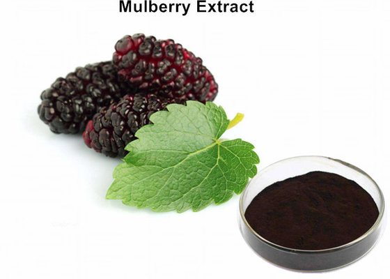 Mulberry Fruit Extract Anthocyanin Extract Powder Improving Reproductive Health
