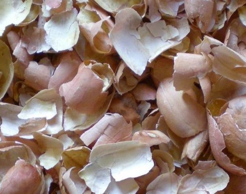 Natural Red Pigment Peanut Skin Extract , Food Grade Peanut Skin Nutrition