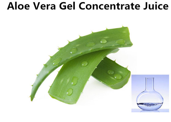 Natural 10:1 Aloe Vera Gel Powder , Organic Aloe Vera Powder For Skin And Hair Protection Products