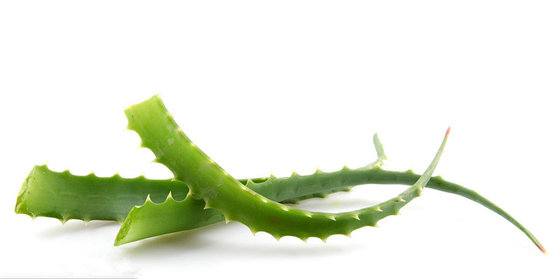 Custom Aloe Vera Powder For Face , 100:1 Aloe Barbadensis Leaf Juice Powder