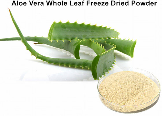 Custom Aloe Vera Powder For Face , 100:1 Aloe Barbadensis Leaf Juice Powder