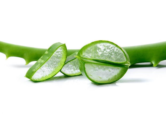 High Purity Aloe Vera Extract Powder 98% Aloin For Cosmetics And Shampoo