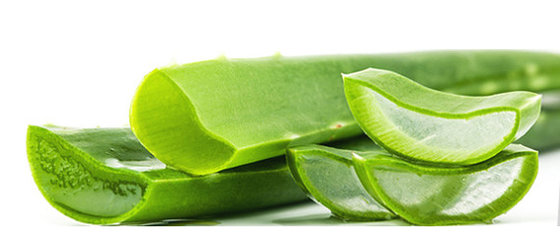 High Purity Aloe Vera Extract Powder 98% Aloin For Cosmetics And Shampoo