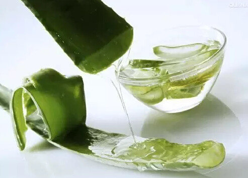 Off - White Ropy Liquid  Aloe Vera Extract Powder Whole Leaf Discolored Concentrated Juice