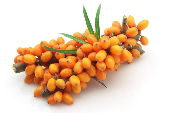 Brown Sea Buckthorn Berry Extract , Sea Buckthorn Extract Skin Care Polysaccharides Powder