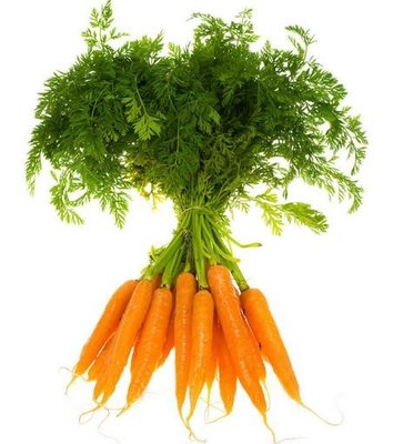 Carrot Extract Vegetable Based Food Coloring, 10% Beta Carotene Organic Food Coloring Powder
