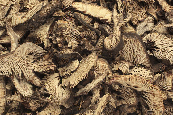 Pure Black Cohosh Root Extract For Menopause , Dark Brown Powder Natural Botanical Extracts