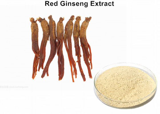 10% Ginsenosides Korean Red Ginseng Powder , Korean Red Ginseng Root Extract For Dietary