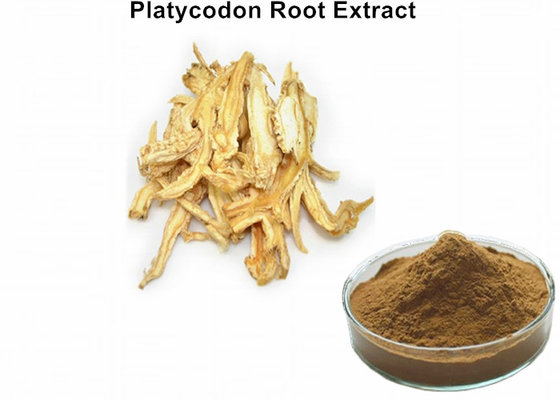 Platycodon Root Natural Plant Extracts 1% Saponins UV Expectorant And Relieving Cough