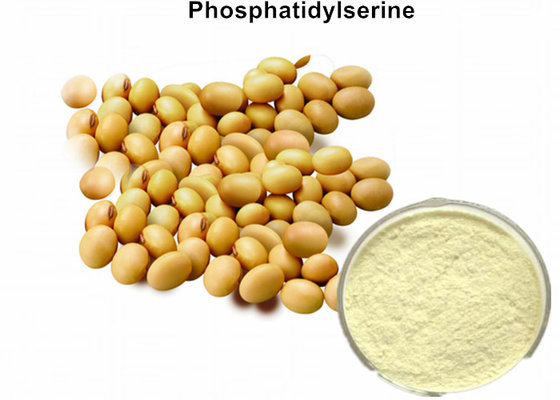 Enhancing Memory Organic Plant Protein Powder , Soya Bean Extract 10% Phosphatidylserine Enhancing Memory