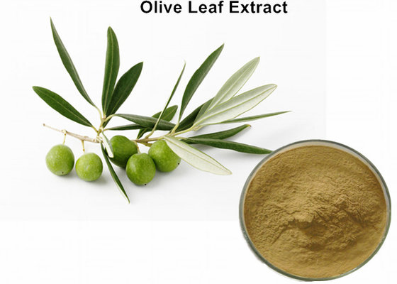 Natural Olive Leaf Extract For Kids , Organic Olive Leaf Extract Blood Pressure